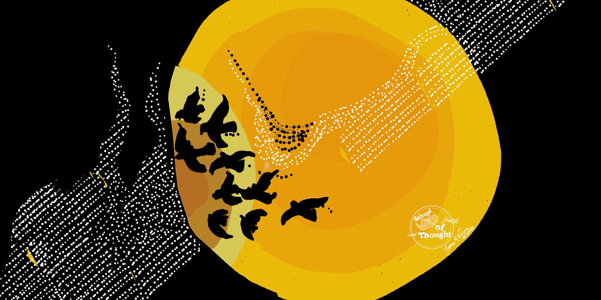 Here Comes the Sun - by Dr. Jane R. Shore