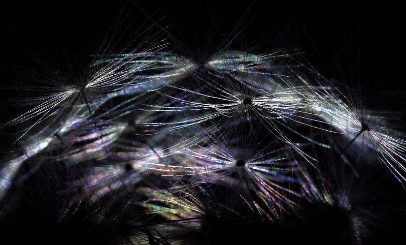 Style vs substance - by Adam Singer - Hot Takes