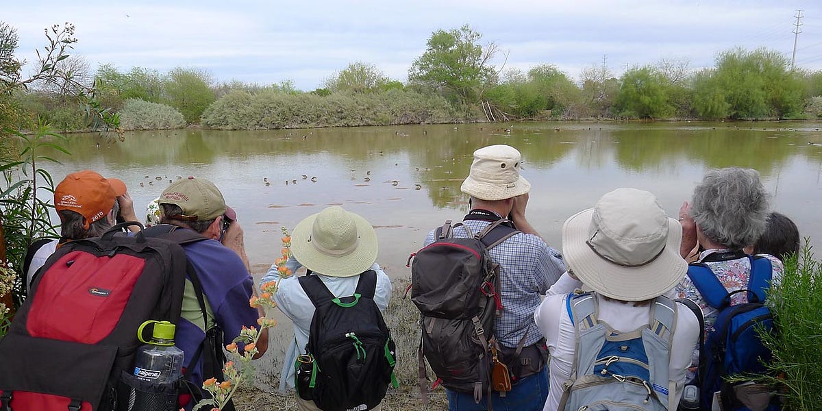 THE CLASSROOM - by Bryan Pfeiffer - Chasing Nature