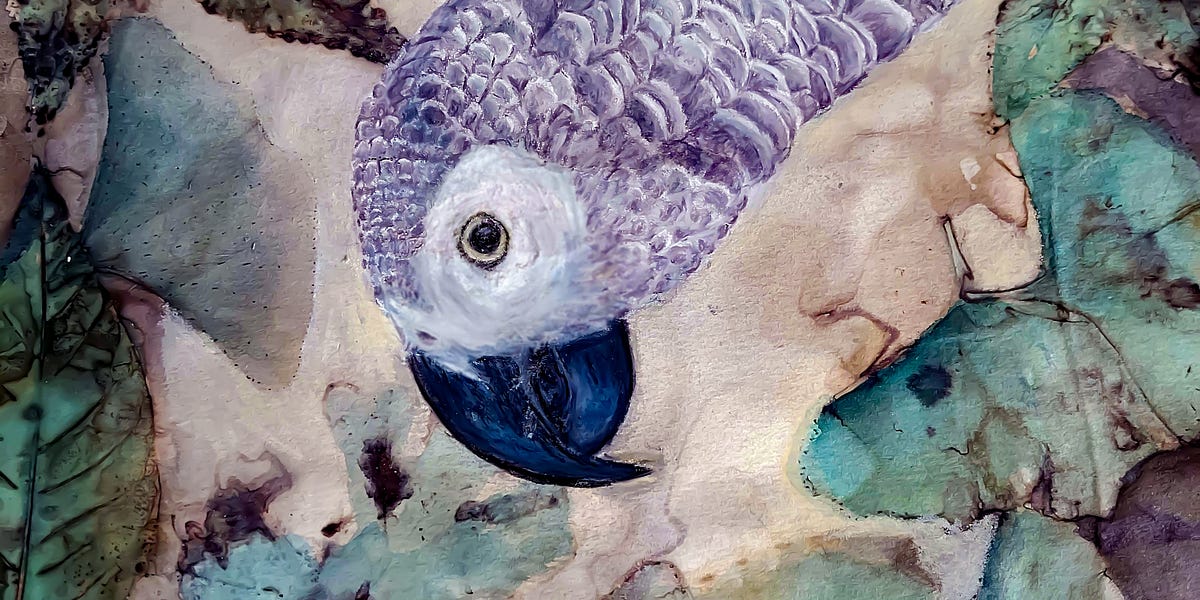 The Wild Inside - by Rebecca K. O'Connor - Written Bird