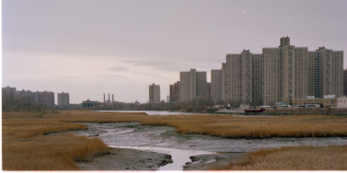 Co-op City - The Bronx - by Rob Stephenson