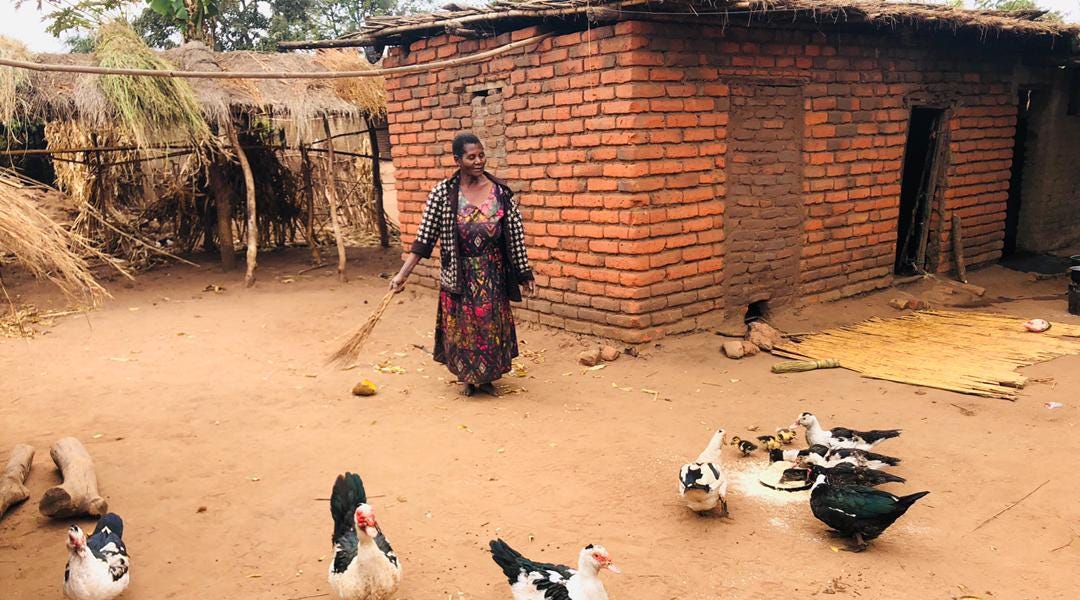 Dowa Farmers Bloom with Permaculture, Quenching Hunger and Boosting Income