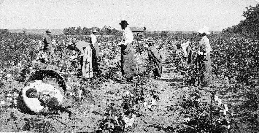 How slavery laid the foundations of modern prosperity