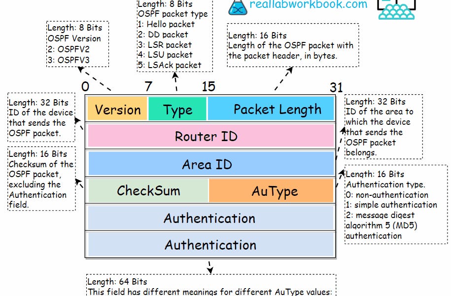 OSPF Packet Header Format Details - by Rose White