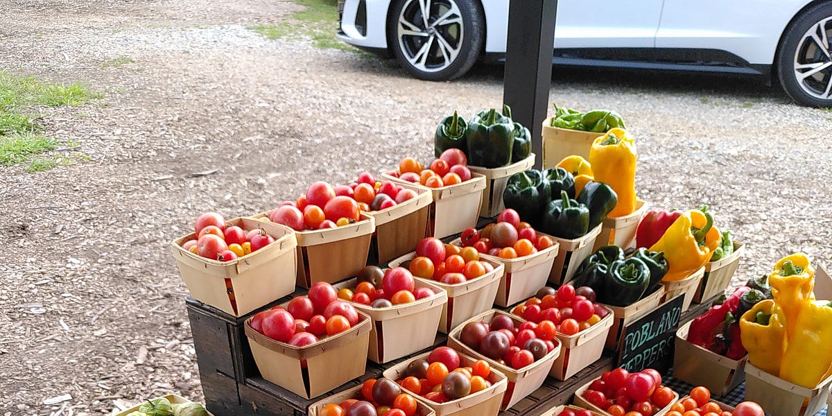 joy and toil - by Iona - the cherry log