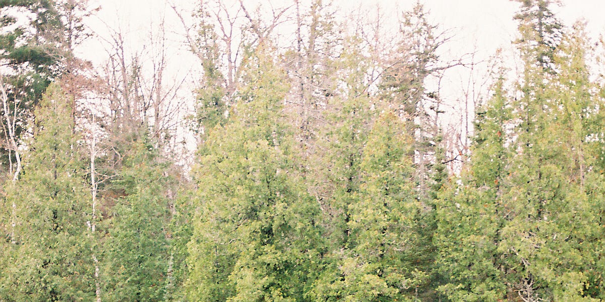 O, Happy Dagger! - by Lauren Smith - Loetry