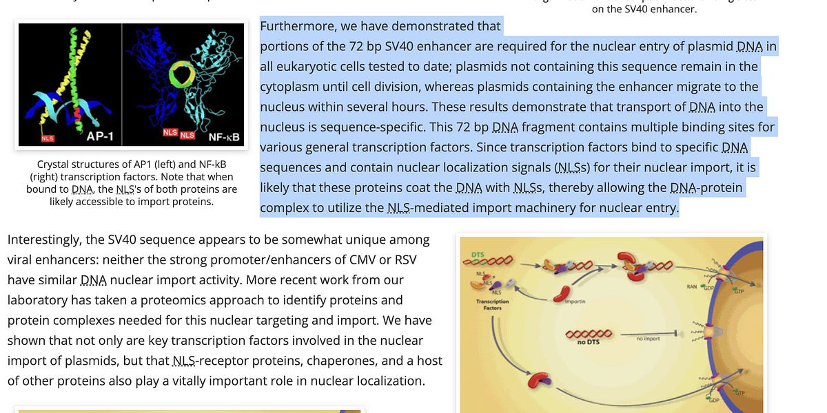 ADDENDUM -- BREAKING HORRIFIC UPDATE: HIV-Infected Green Monkey DNA ...