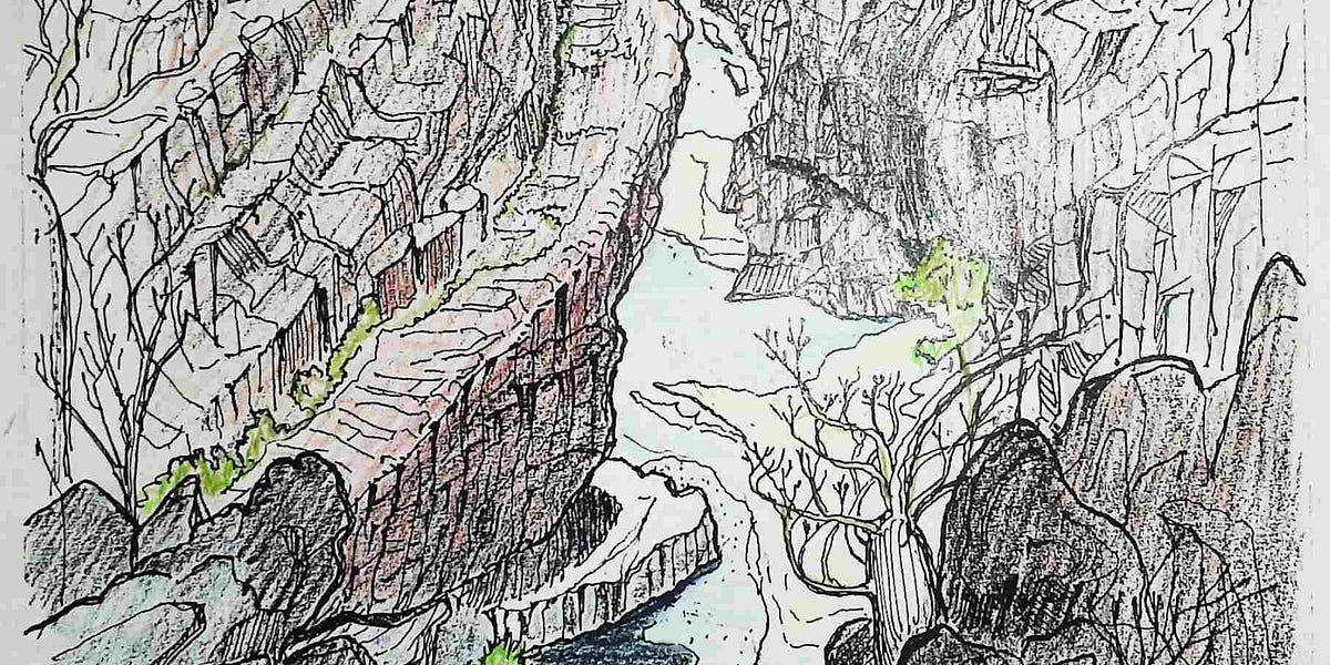 The 1989 Great Safari Expedition Letter - by Patrick Durack