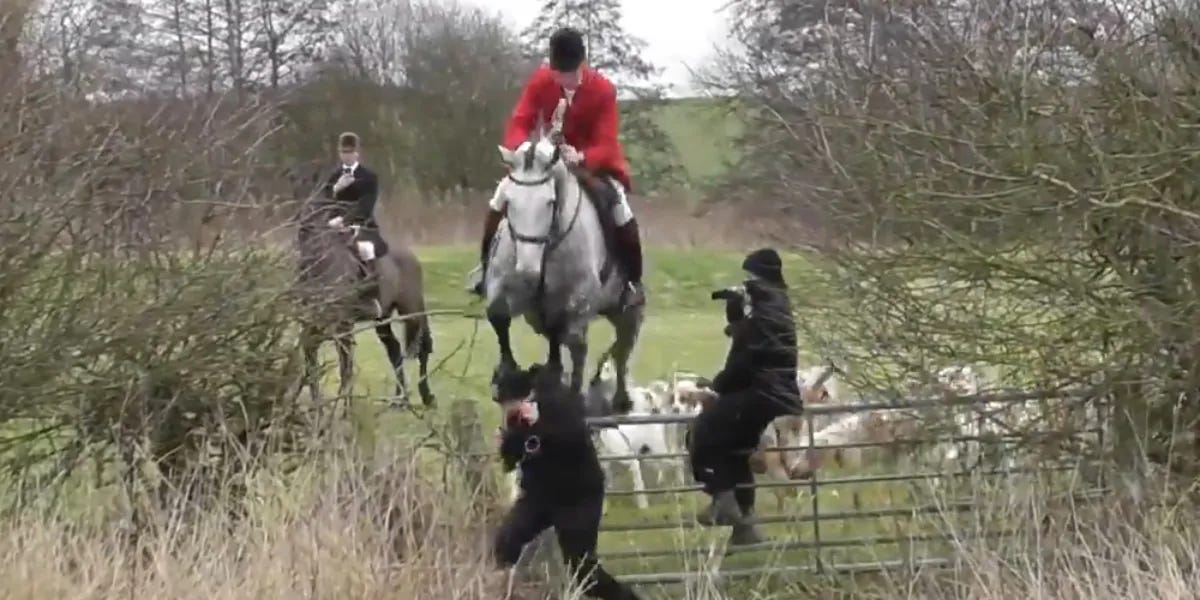 Sam Jones of the Cottesmore Hunt pleads not guilty to assault and ...