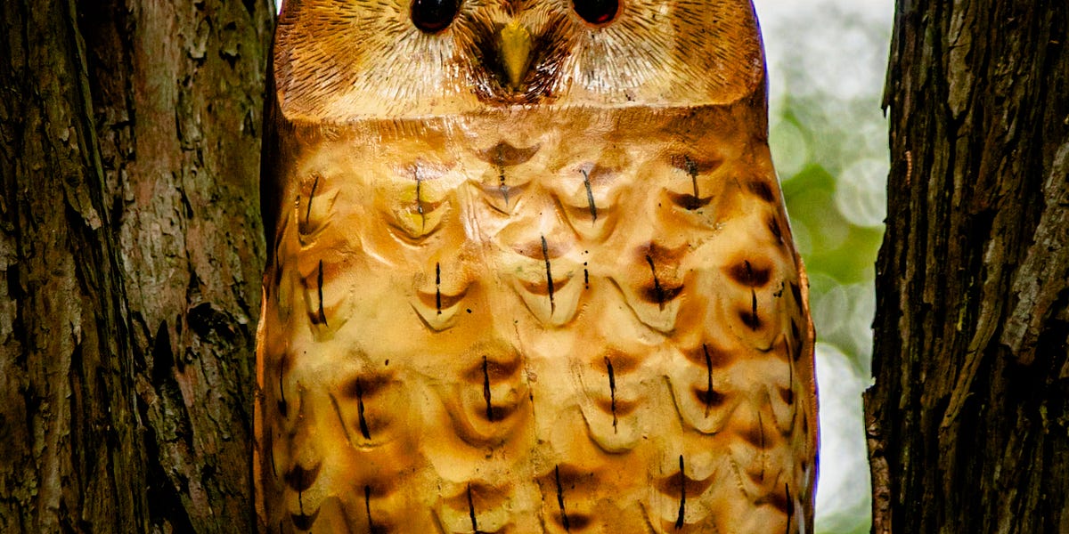 The Munchkins and the Owl One - by Debs Stott