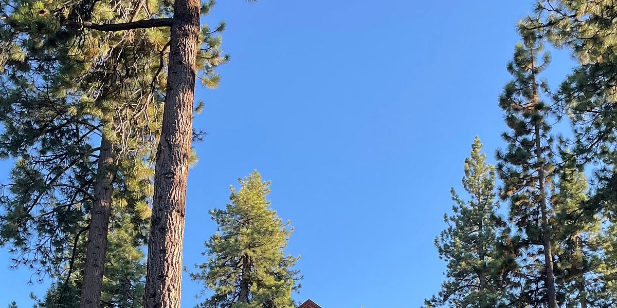 Earth Moving - Yesterday Jane