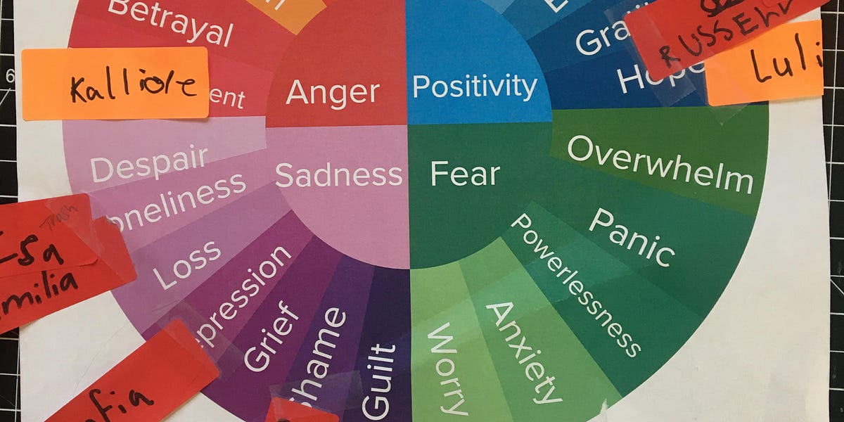 What Teachers And Parents Need To Know About Climate Emotions