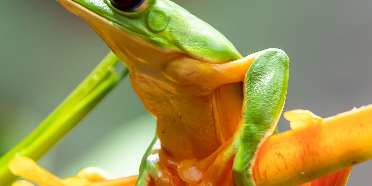 Daily Productive Sharing 361 - What Is the Eat The Frog Method?