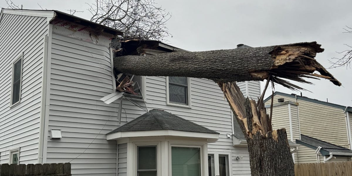 Breakthrough in Colonial Parkway Murders Case, Severe Storms, and More