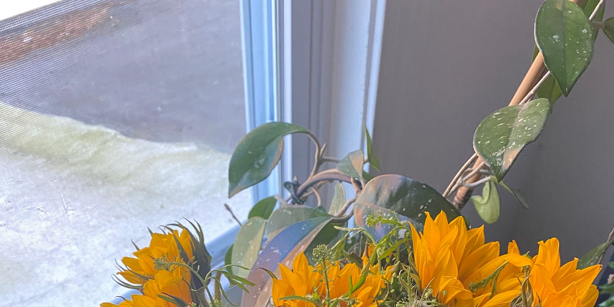 sunflowers - by Mary Alyson Lynch - maly writes