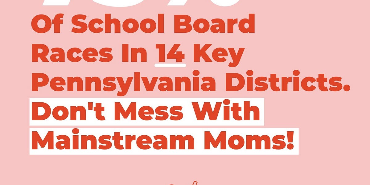 The Extremists' Kryptonite - Rachel Vindman