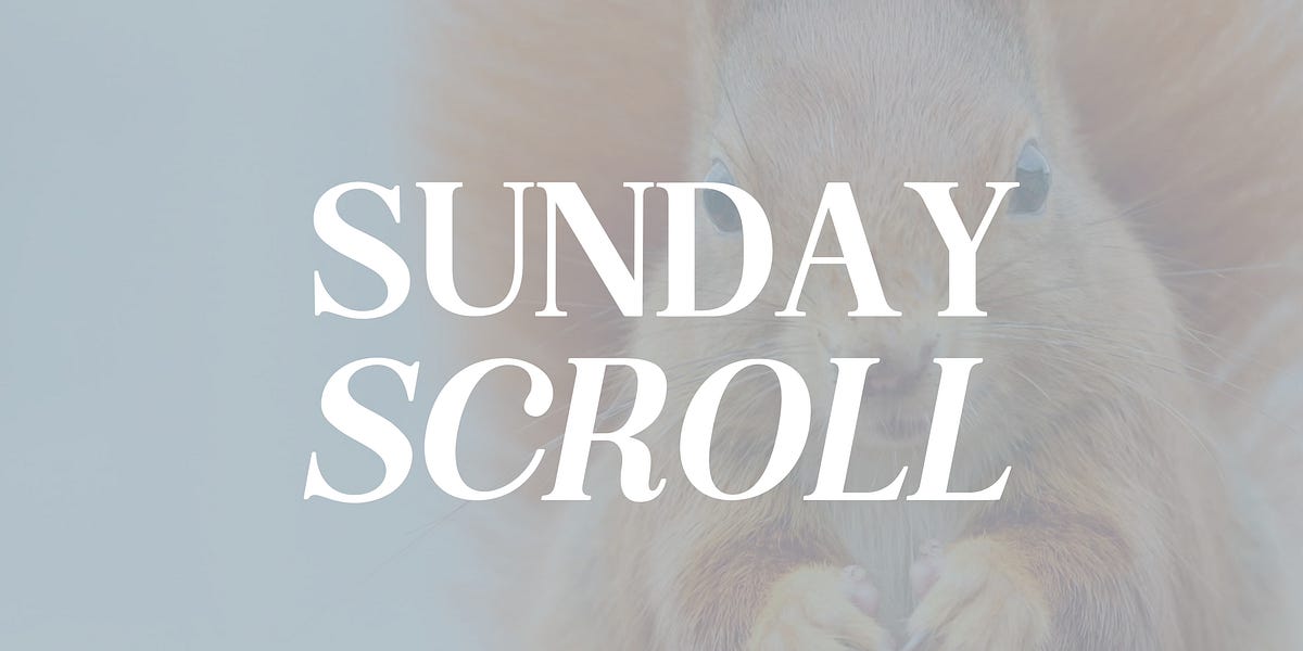 Sunday Scroll #8 - Emily Ley’s Substack