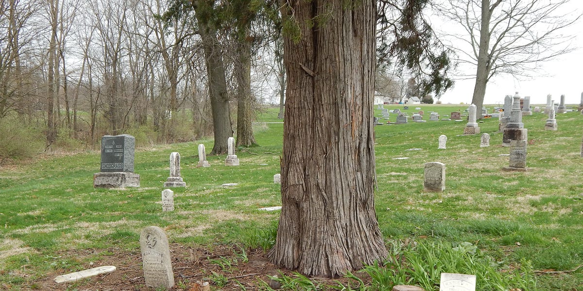 Lost Grove Cemetery - by Cynthia Boatright Raleigh
