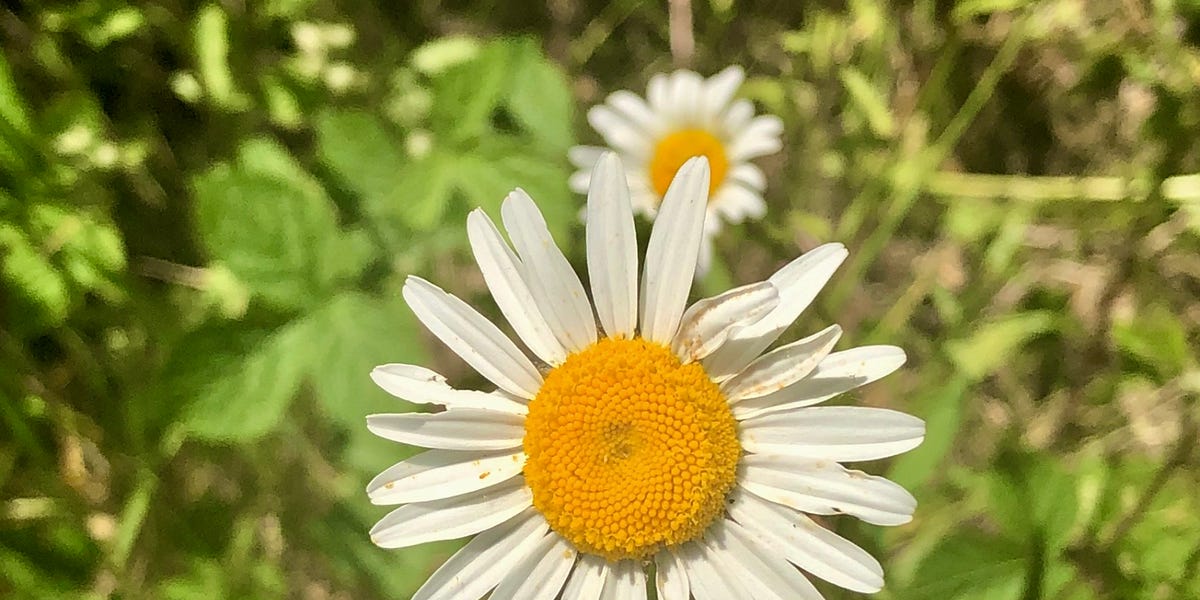 May - by Judith - Scrumptious Seasons