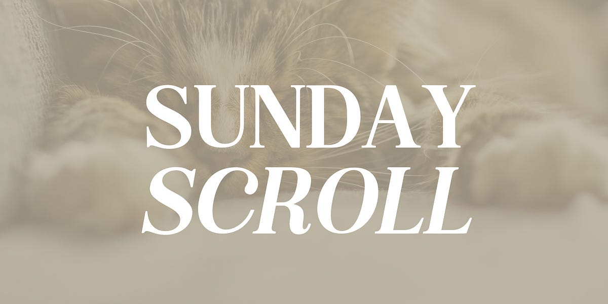 Sunday Scroll #1 - Emily Ley’s Substack