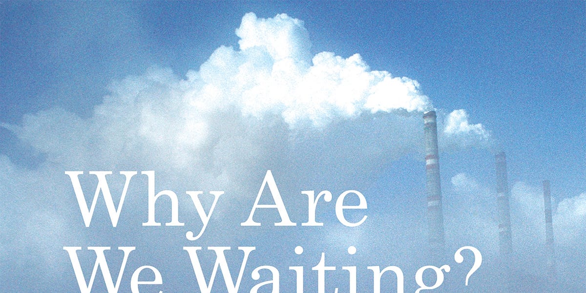 Revealed Preference Overreach and its Discontents