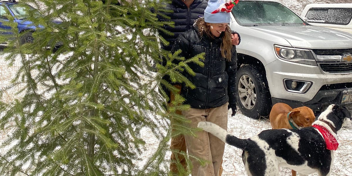 Unseasoned: Lesson 3 of 3 - by Emerald LaFortune