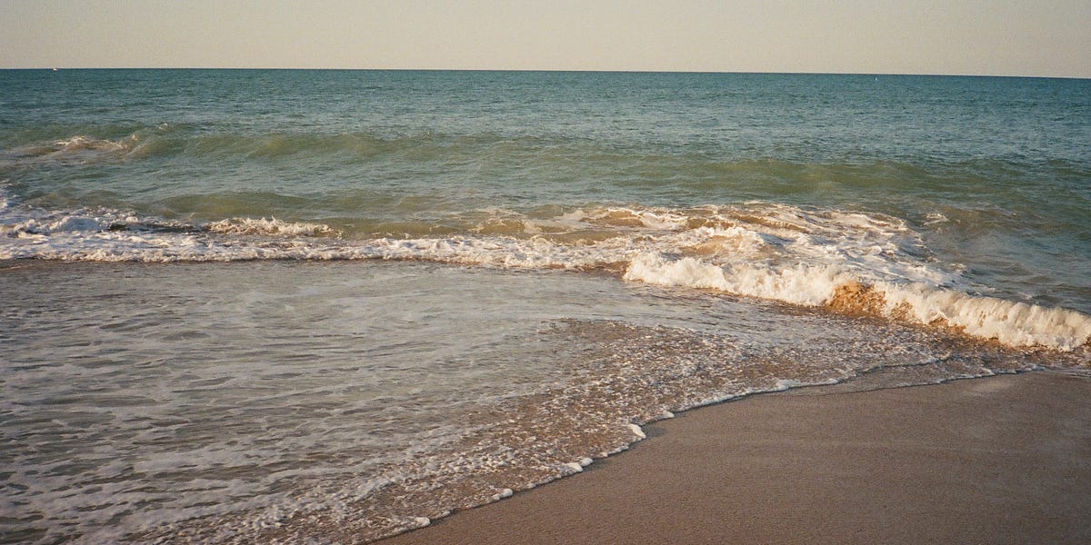 Summer is for naps - by Julia Bedell - vessels