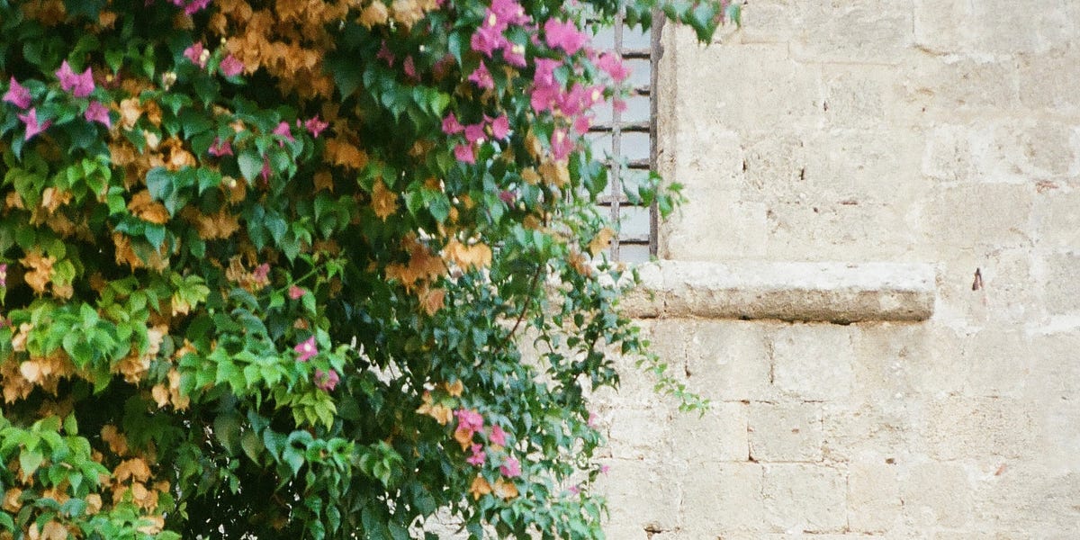 Tracing the harm - by Julia Bedell - vessels