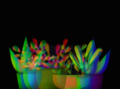 Um céu ~ 15 - by Sam Fernandes