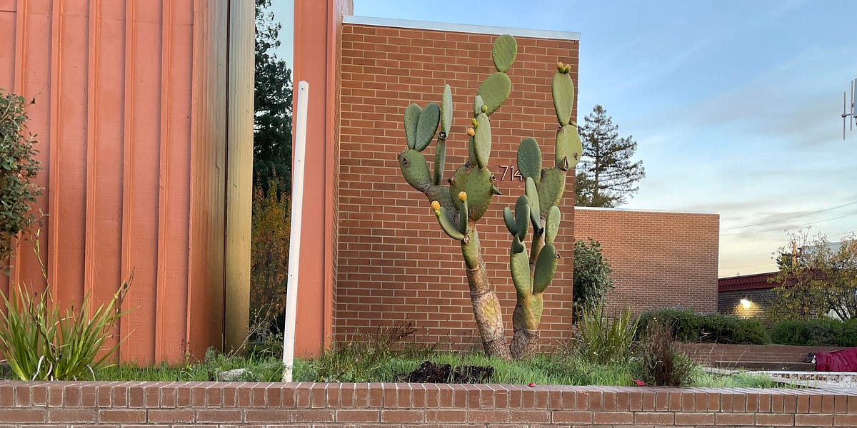 Envisioning a bigger and better Sebastopol library