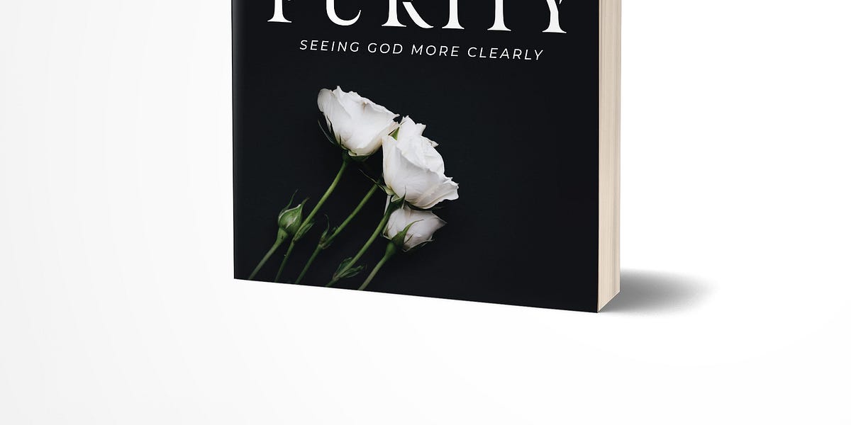 The Power of Purity Book - by Matthew Ochoa