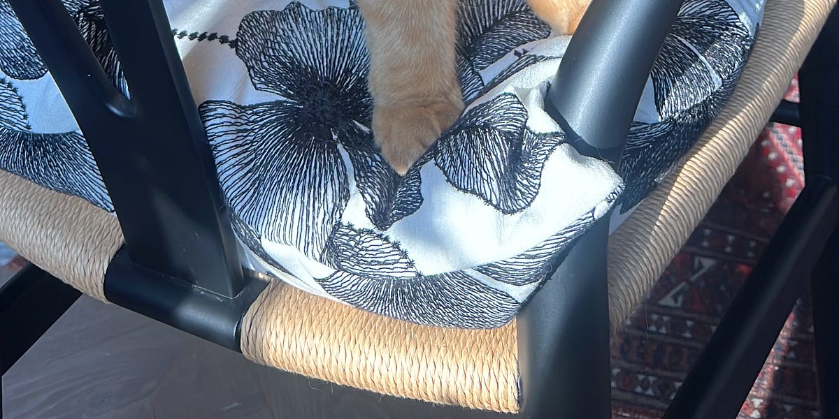 The morning after the Column before - Ebruland