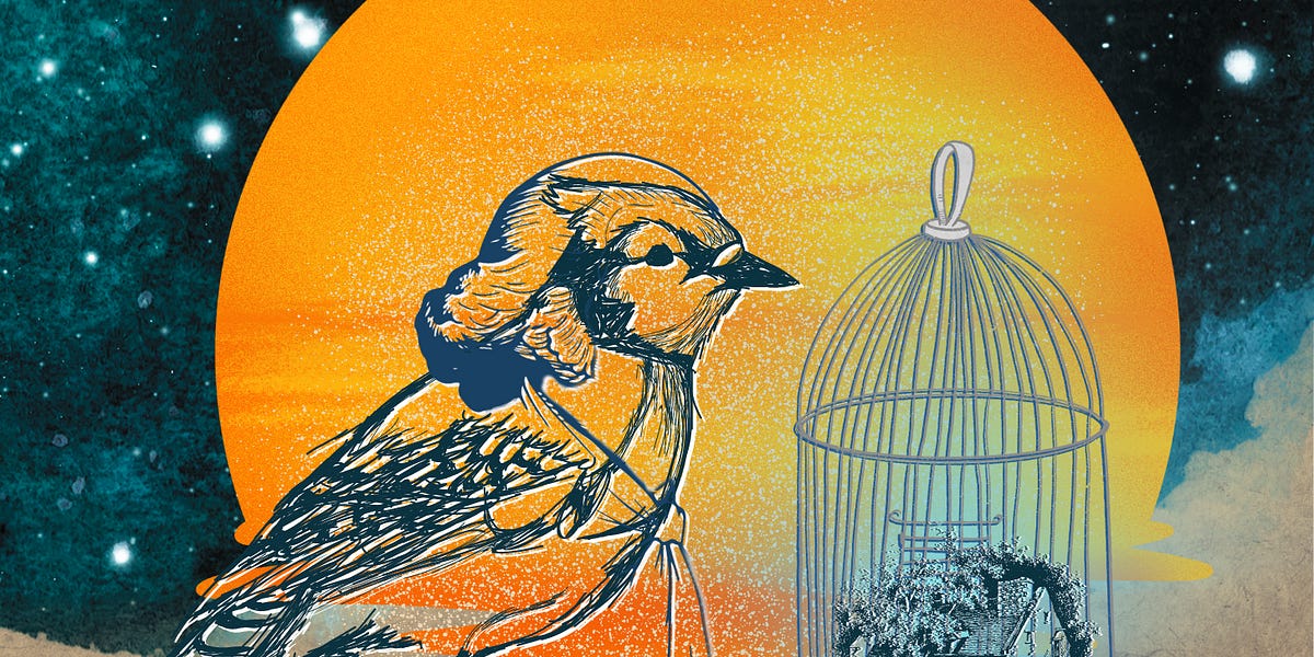 Servant's house turned president's nest - by Thalia Toha