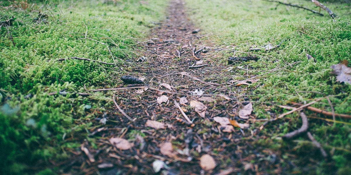 Level Paths - by Carrie Greene - Strength and Truth