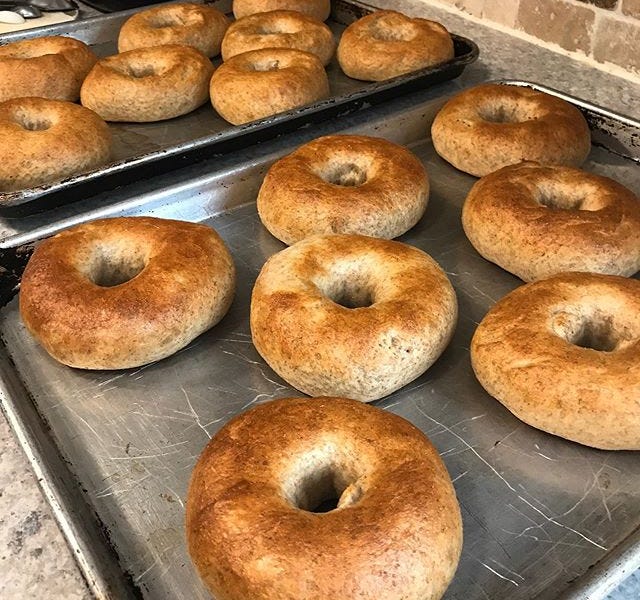 Morning Bagel Ritual: A Culinary Odyssey of Laziness