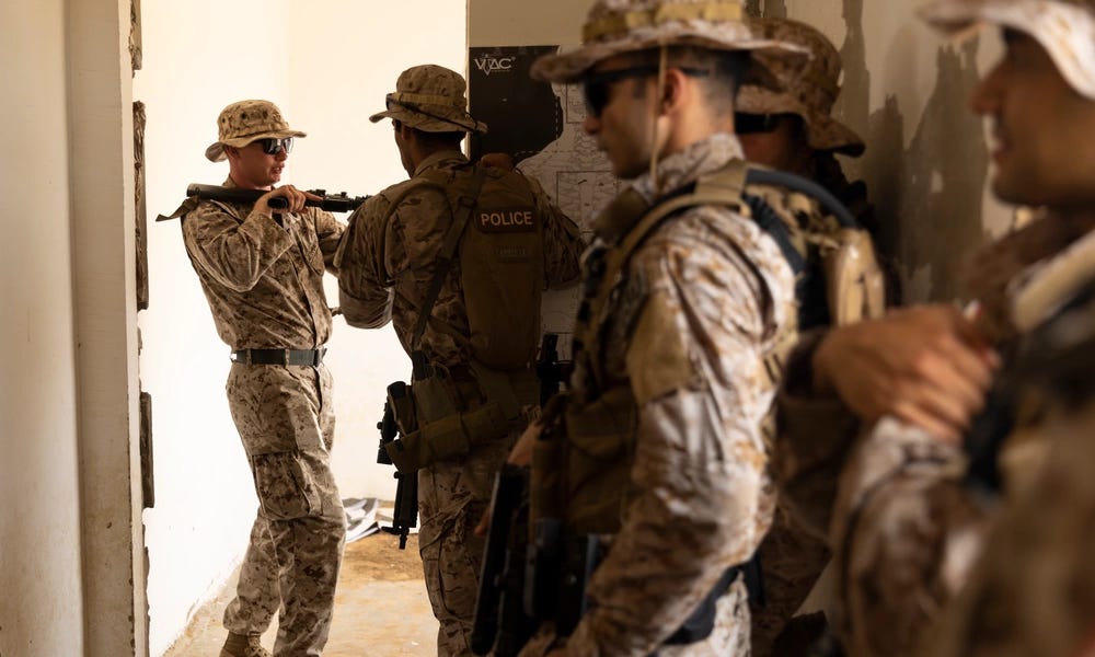 Egypt Security Sector Report - by Hossam el-Hamalawy