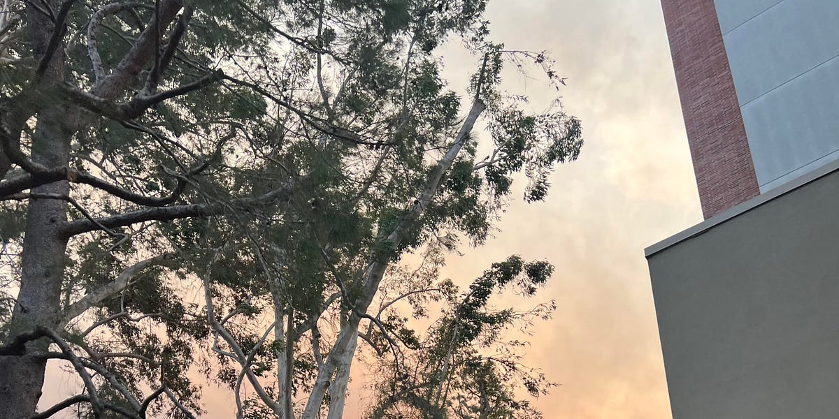 Comments - Burning Ashes - Emily’s Substack