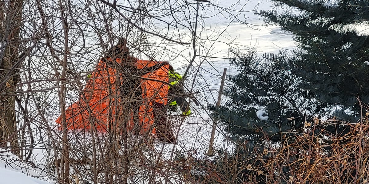 Body recovered by river identified, but name won't be released