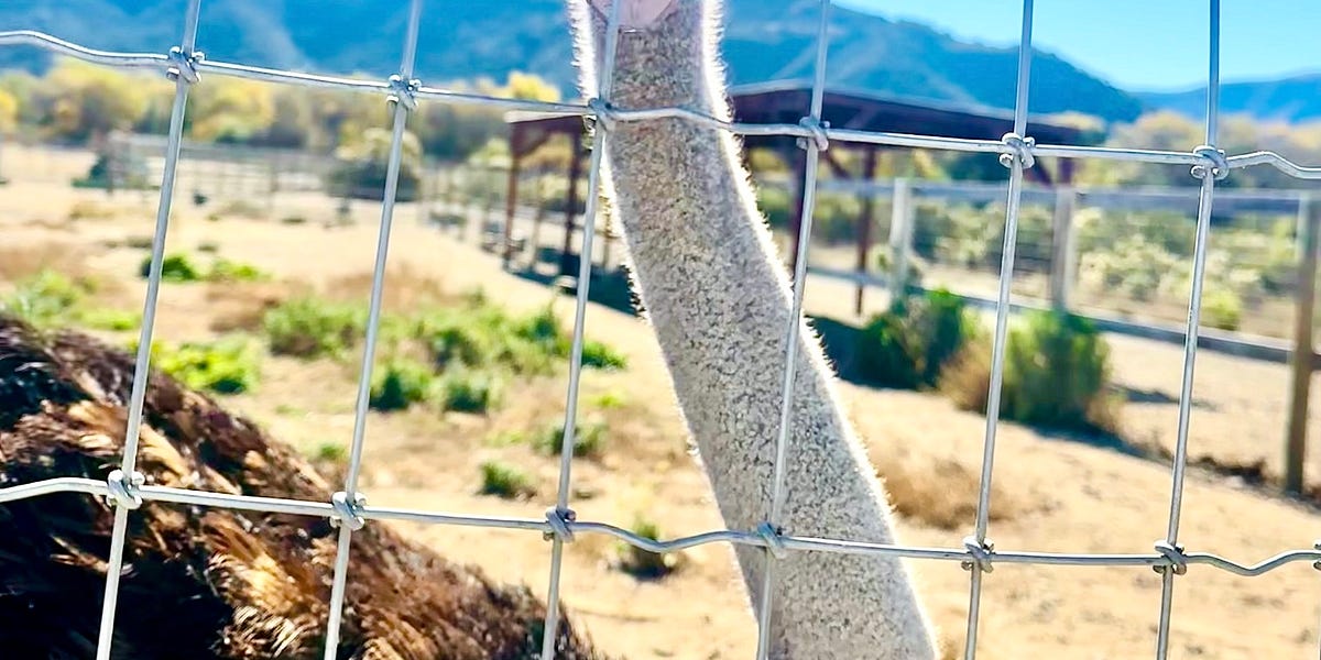 NEWS FLASH - by Robert Eringer - ERINGER