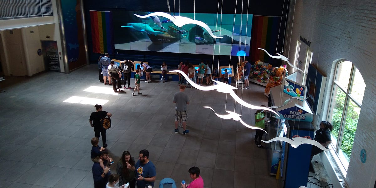 Day Trip Photo Roll #3A: The Aquarium - PCS Nation