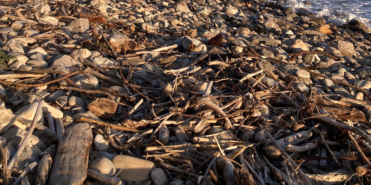 A more perforated container - by Maya Weeks