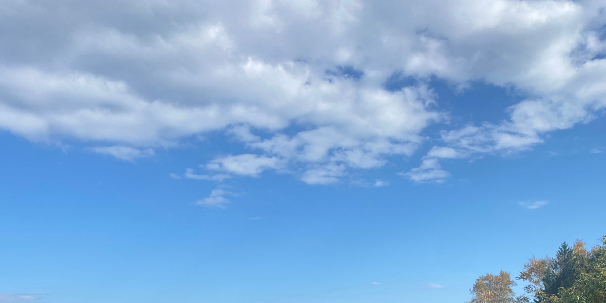 Rituals of Not Knowing - by Lynn Steger Strong - Practicing