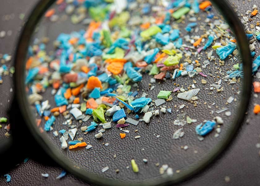 Microplastics May Be Harming Your Body and Brain