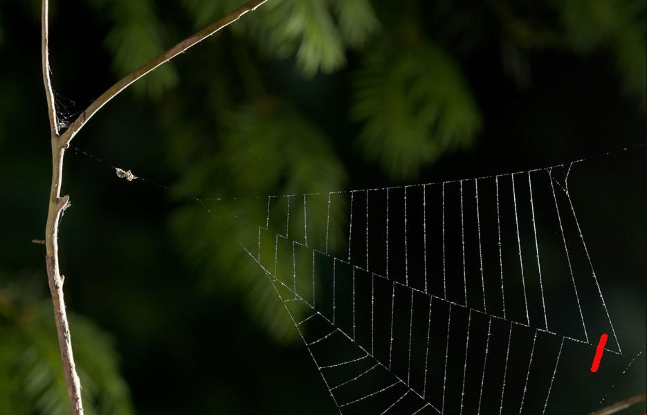 Cutting Strings - sleepydude’s Substack