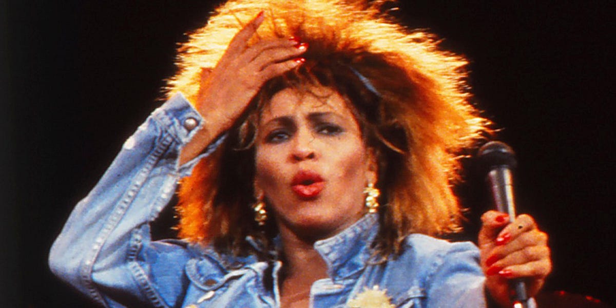 Tina Turner in the House - by Amanda Fortini - PENNYROYAL