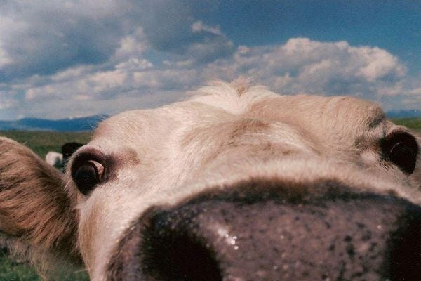 Wonkette's Top Ten Stories Of The Week Are Fishing For Compliments