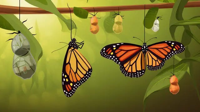 NÃO TOQUE NO CASULO - by Levi Ceccato - O Substack de Levi