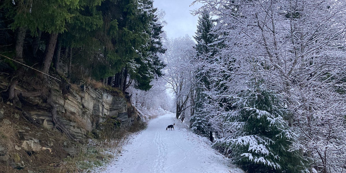 Merry Christmas - by epimetheus - Die Fackel 2.0