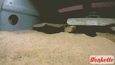 Justin Timberlake's Car Collection Is A Total Snooze-Fest! Tabs, Thurs ...