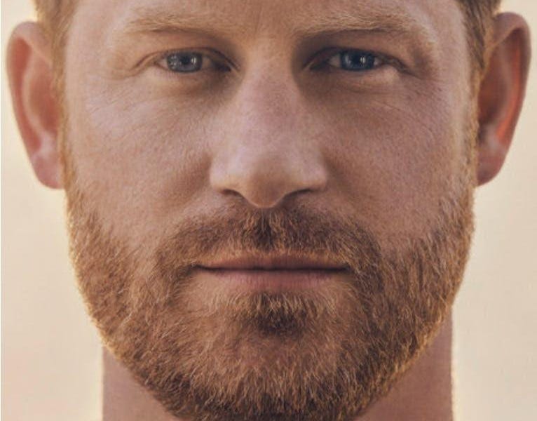 Harry's Ghost - by Jennifer Weiner